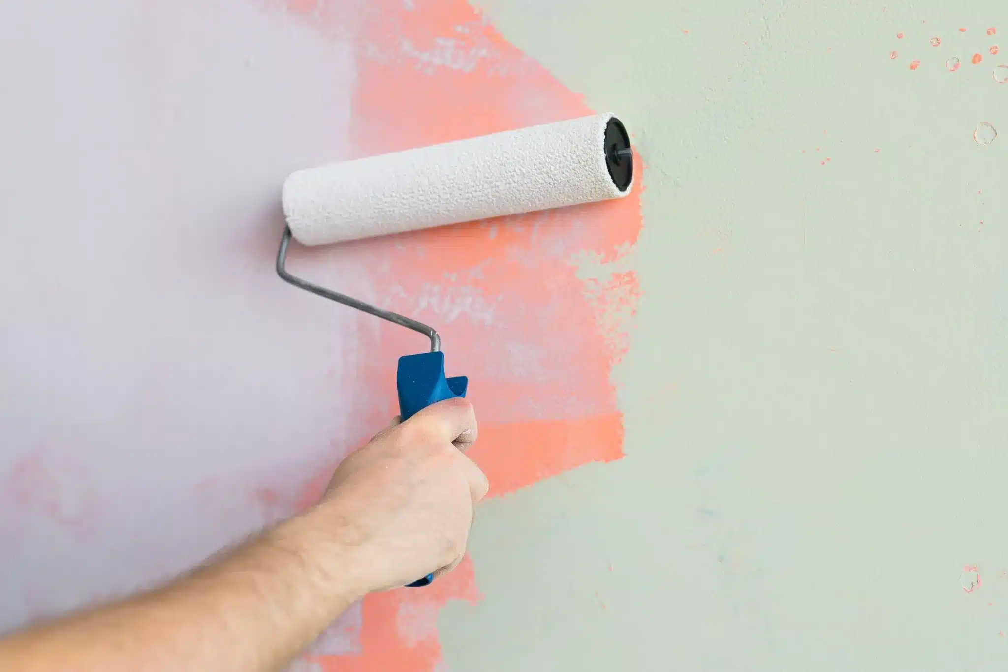Comprehensive Guide for Choosing the Right House Paint
